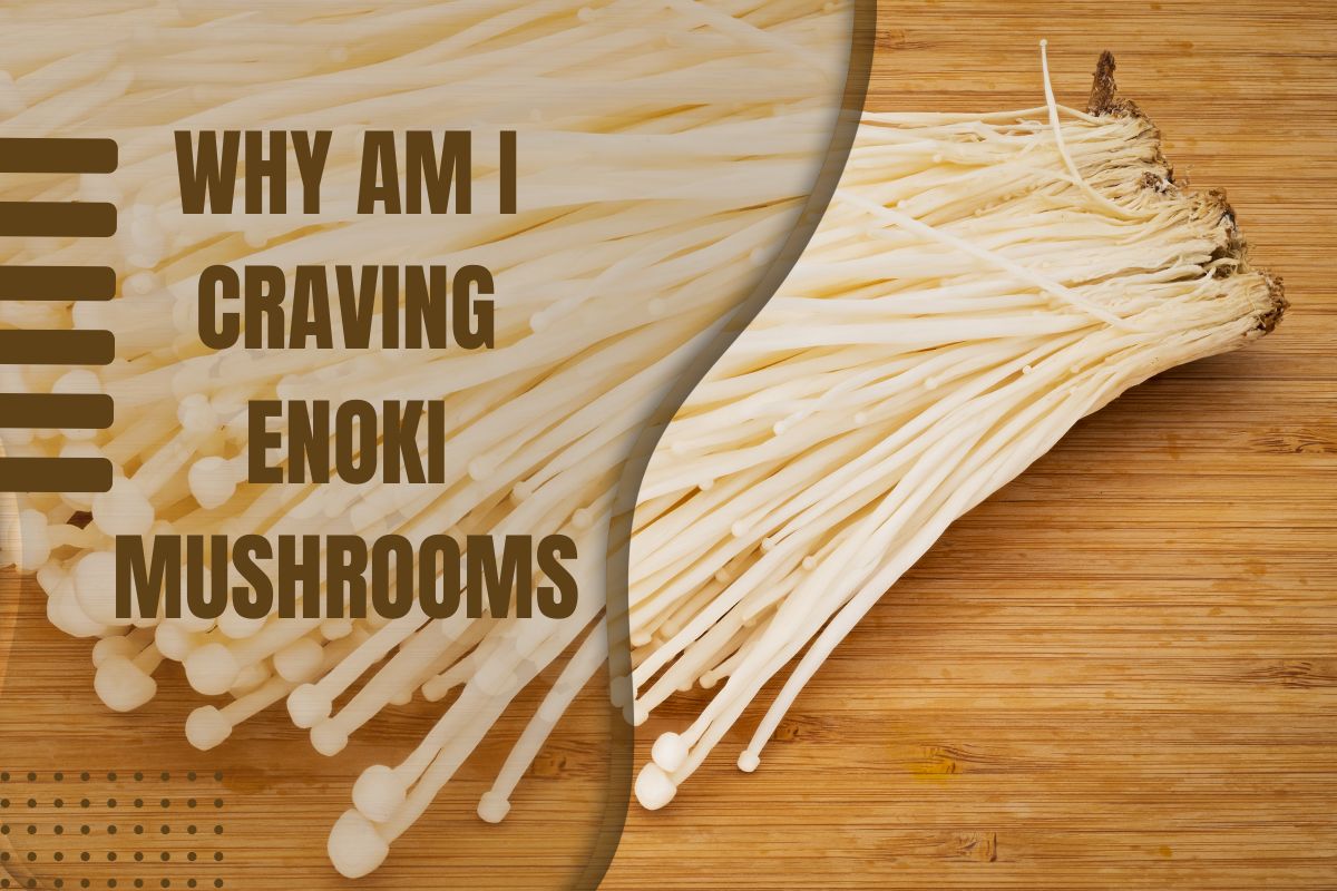 Why Am I Craving Enoki Mushrooms [Answered!] - foodslop.com