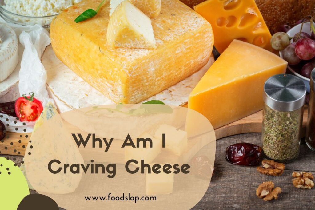 Why Am I Craving Cheese [Solved!] - foodslop.com