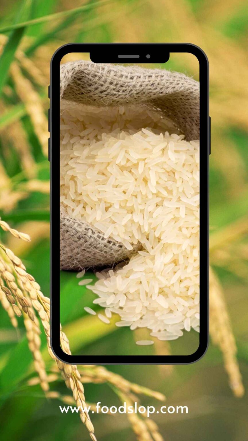 Why Am I Craving Rice [Explained!] - foodslop.com